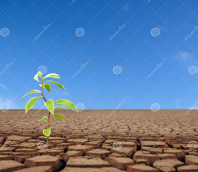 New life stock photo. Image of growth, flora, global - 20939650