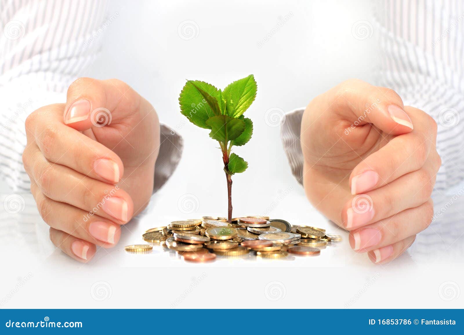 New Life. Business Concept. Stock Photo - Image of investment, care ...