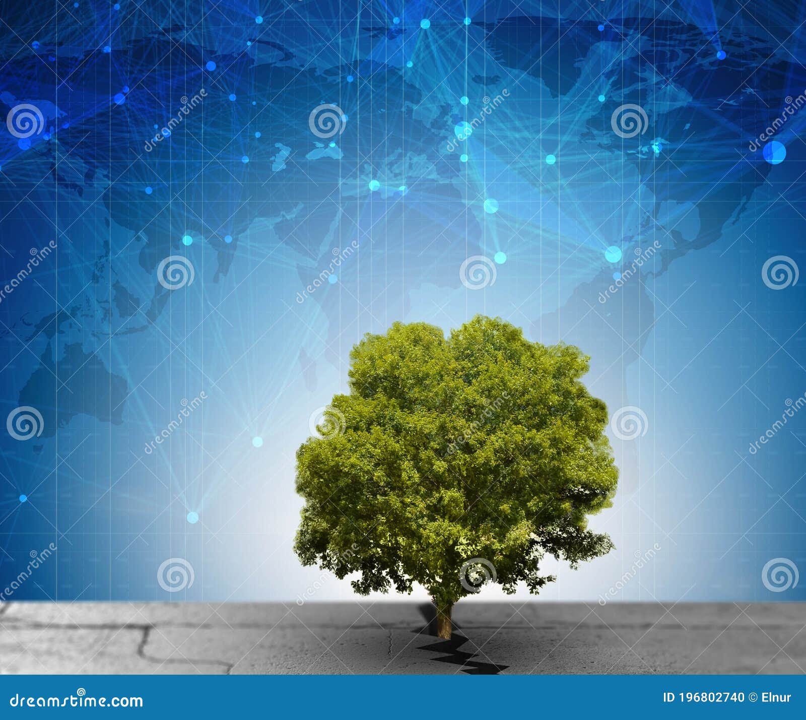 New Life Concept with Sprout Growing through Crack Stock Illustration ...