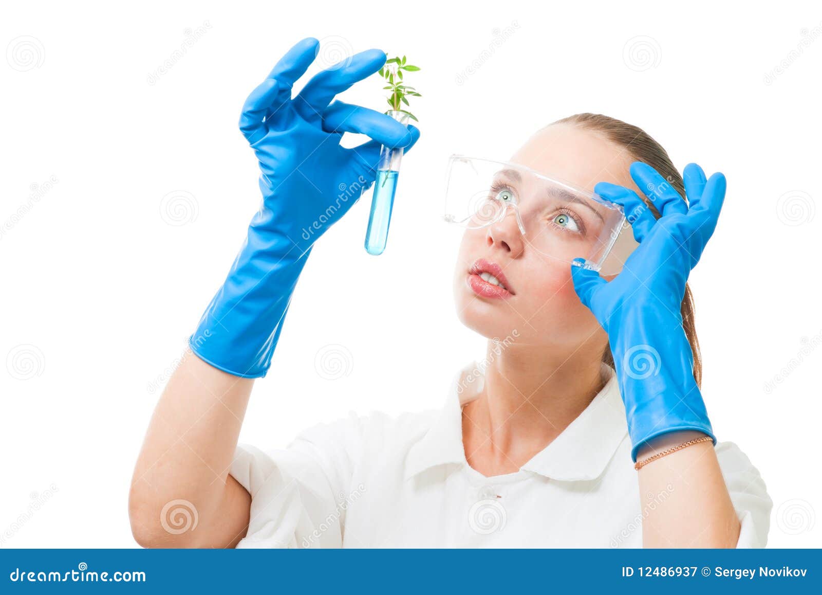 New life discovery stock image. Image of glove, conservation - 12486937