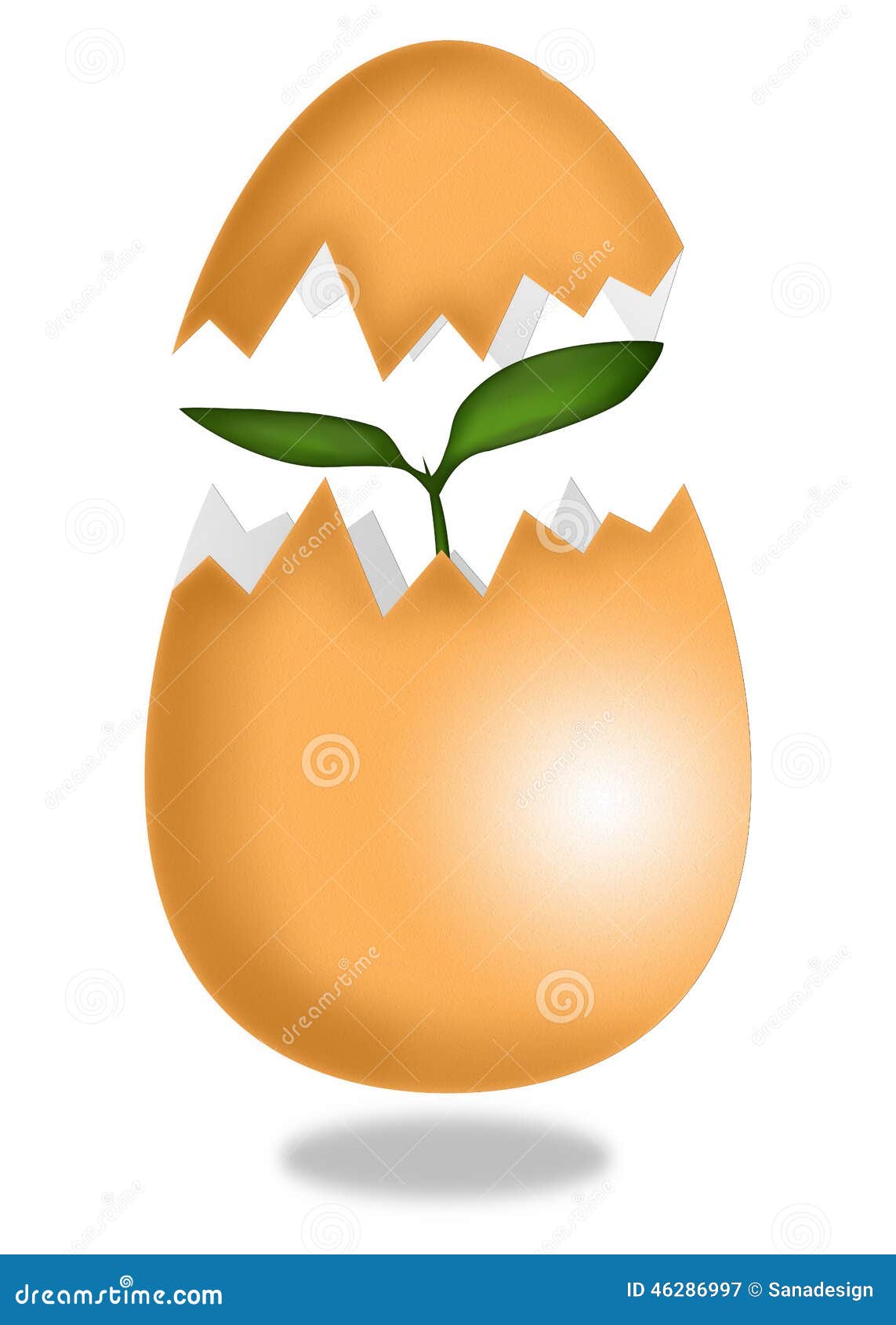New Life from Egg - Stock Illustration Stock Illustration ...
