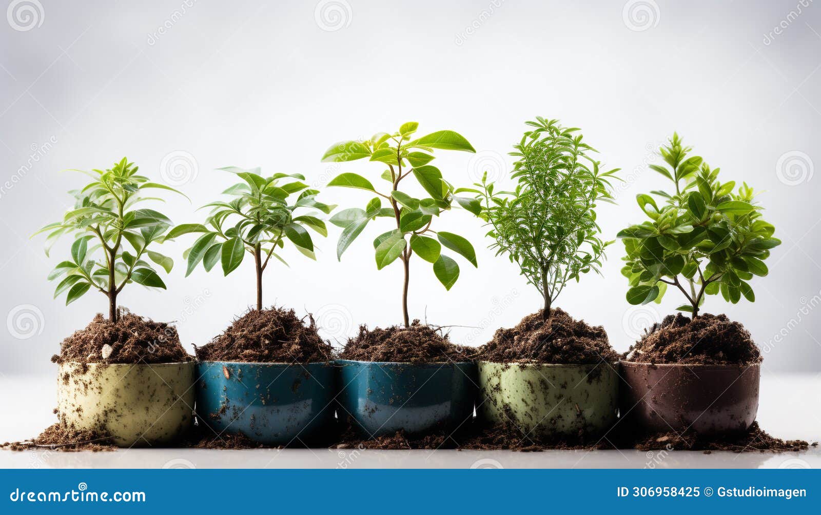 New Life, Growth, and Development in Nature Fresh Green Environment ...