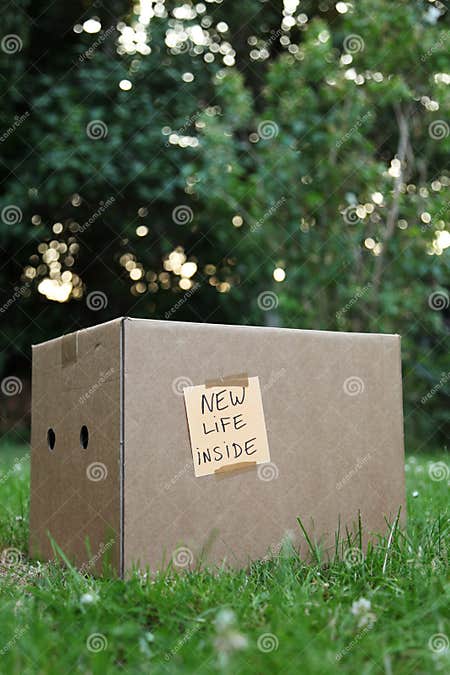 New life inside stock photo. Image of improvement, career - 33582460