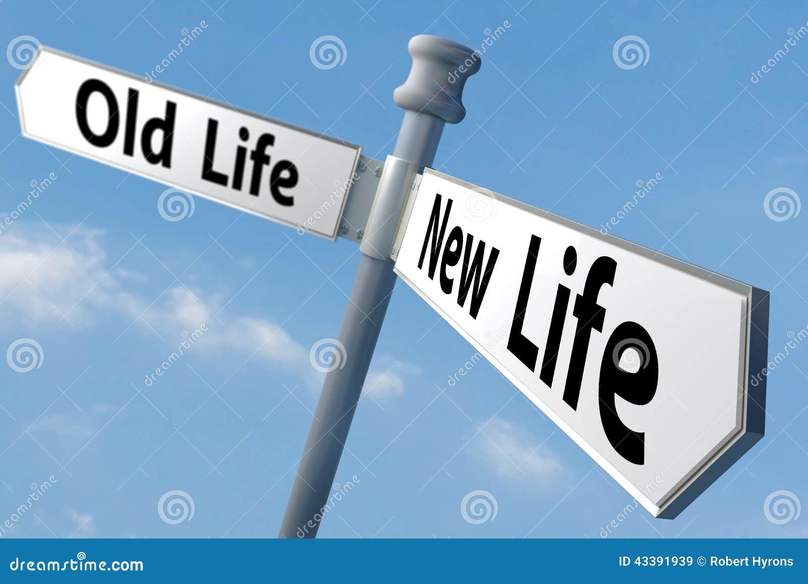 New life stock image. Image of arrow, ideas, concepts - 43391939
