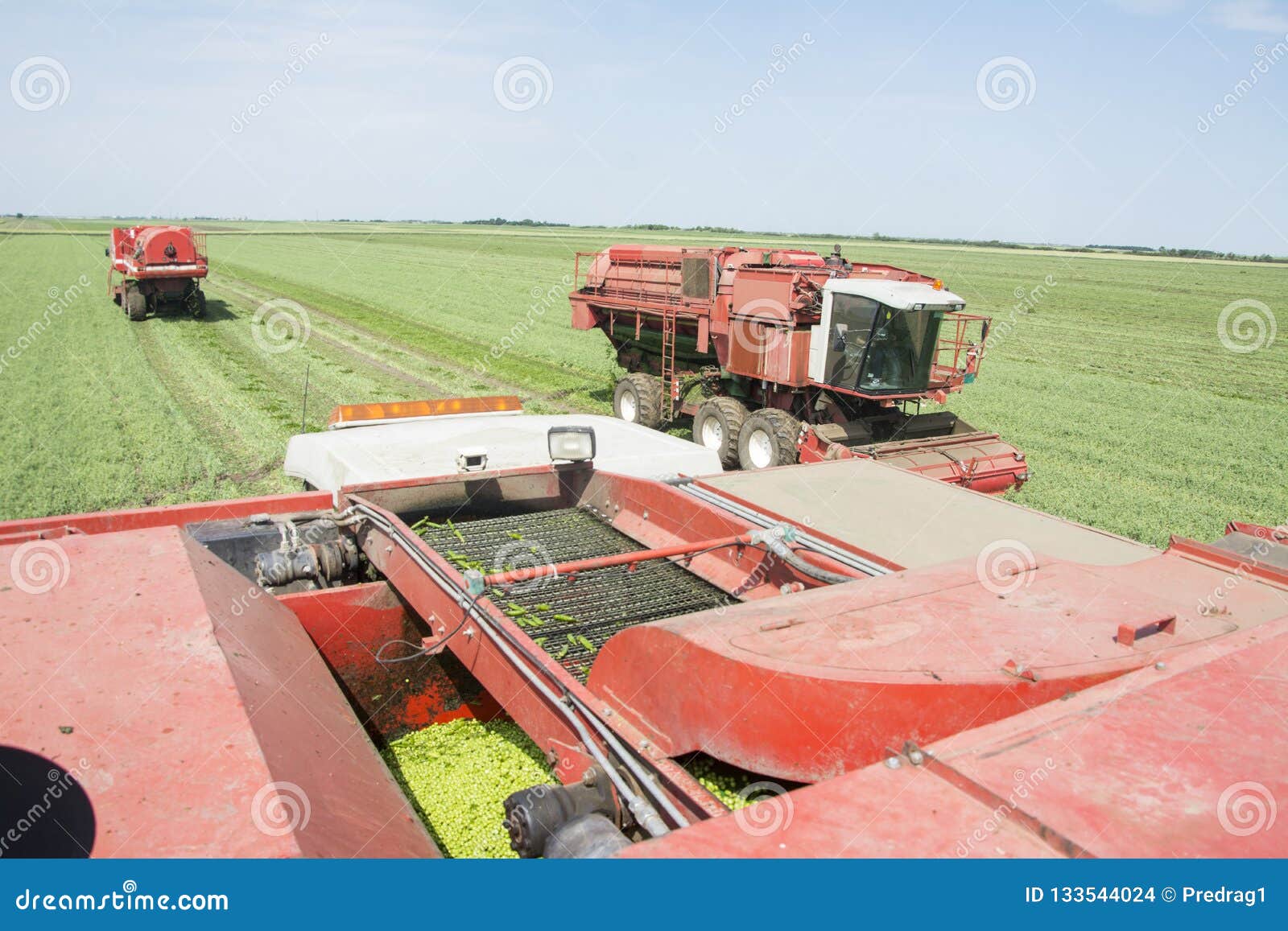 Machine Harvesting Pea Beans Harvested in the Field Stock Photo - Image ...