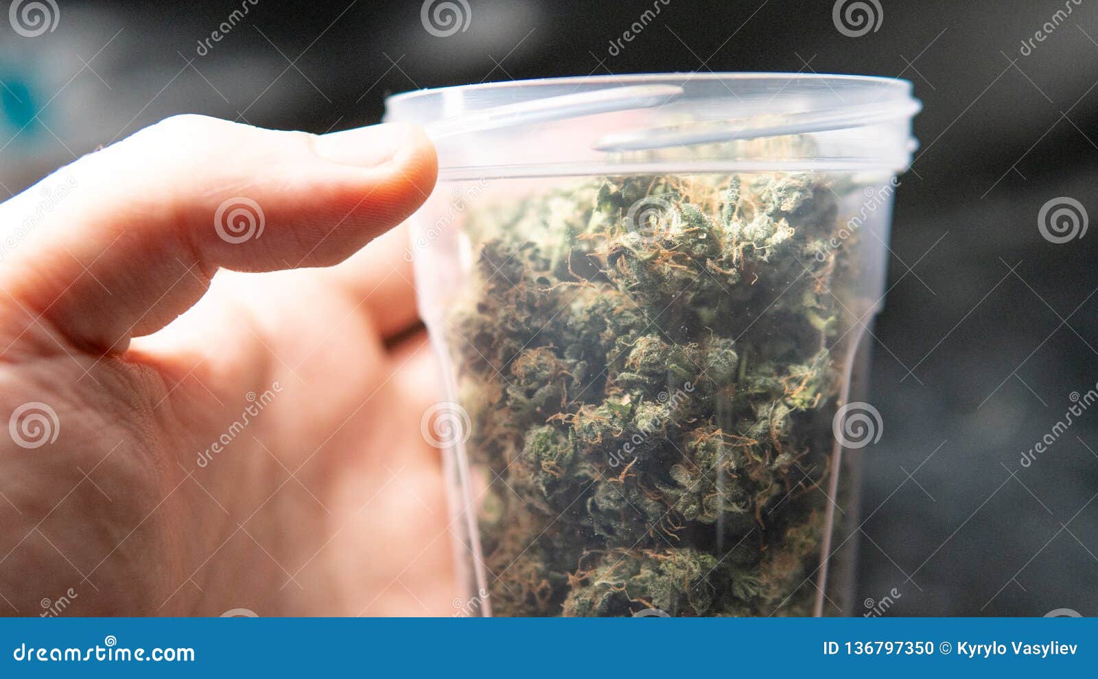 New Medical Strains of Marijuana. Stock Photo - Image of health ...