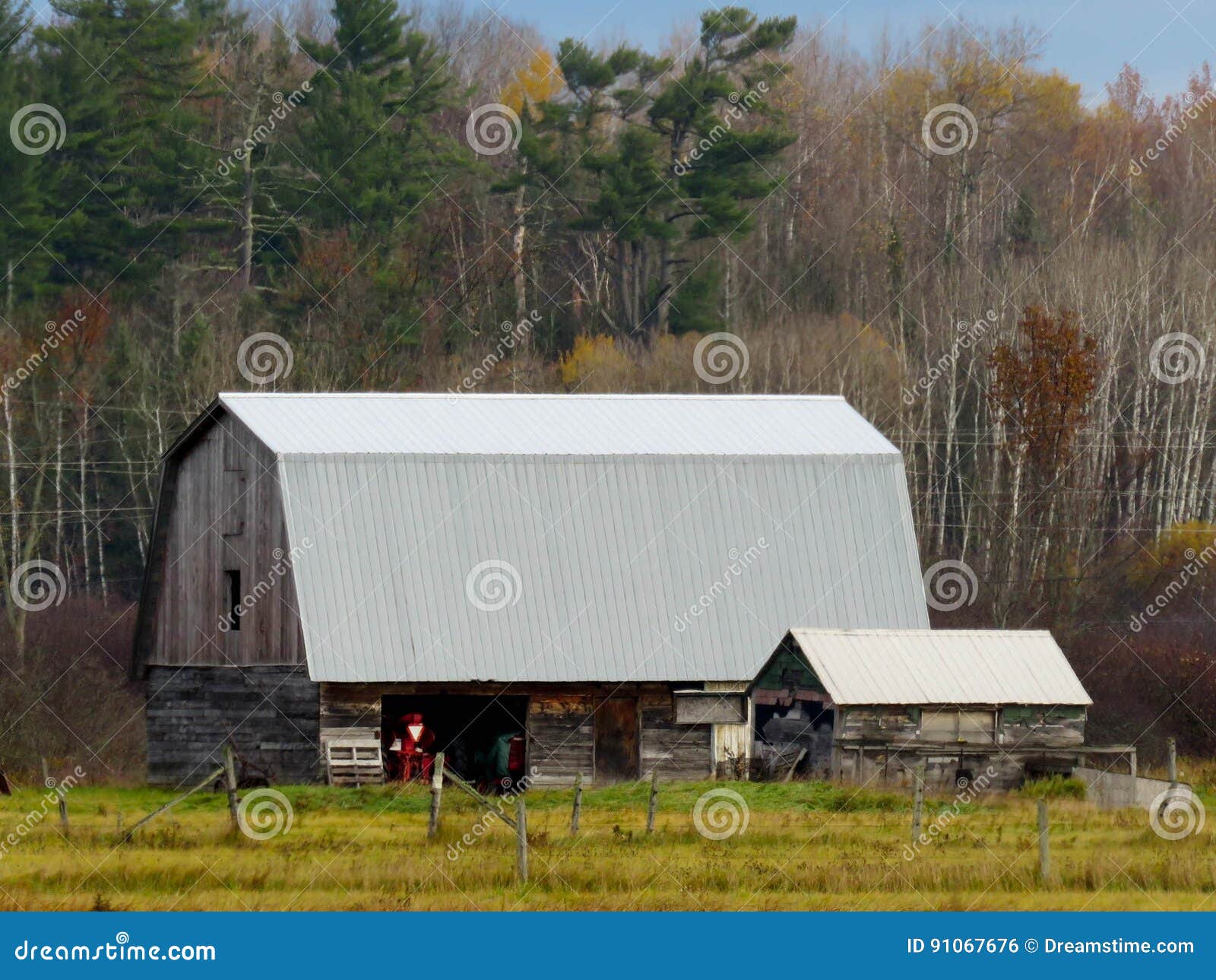 New Metal Roof on an Old Barn Stock Photo - Image of birch, board: 91067676