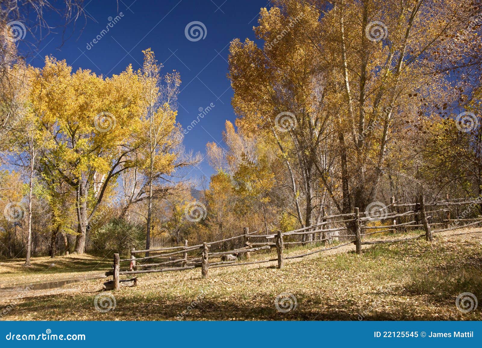 New Mexico Autumn stock image. Image of fall, peaceful - 22125545