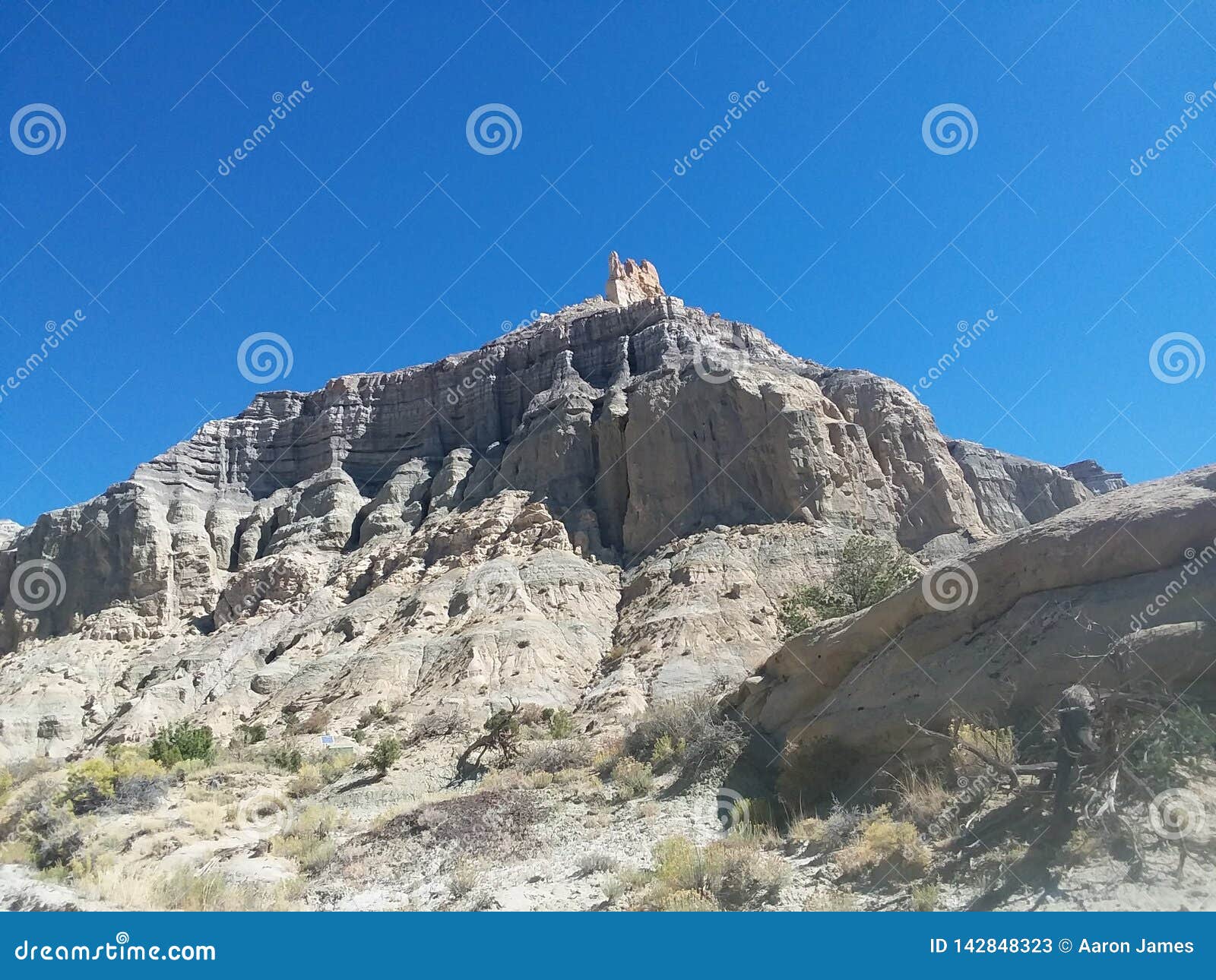 New Mexico Desert Landscape Stock Image - Image of summer, scenery ...