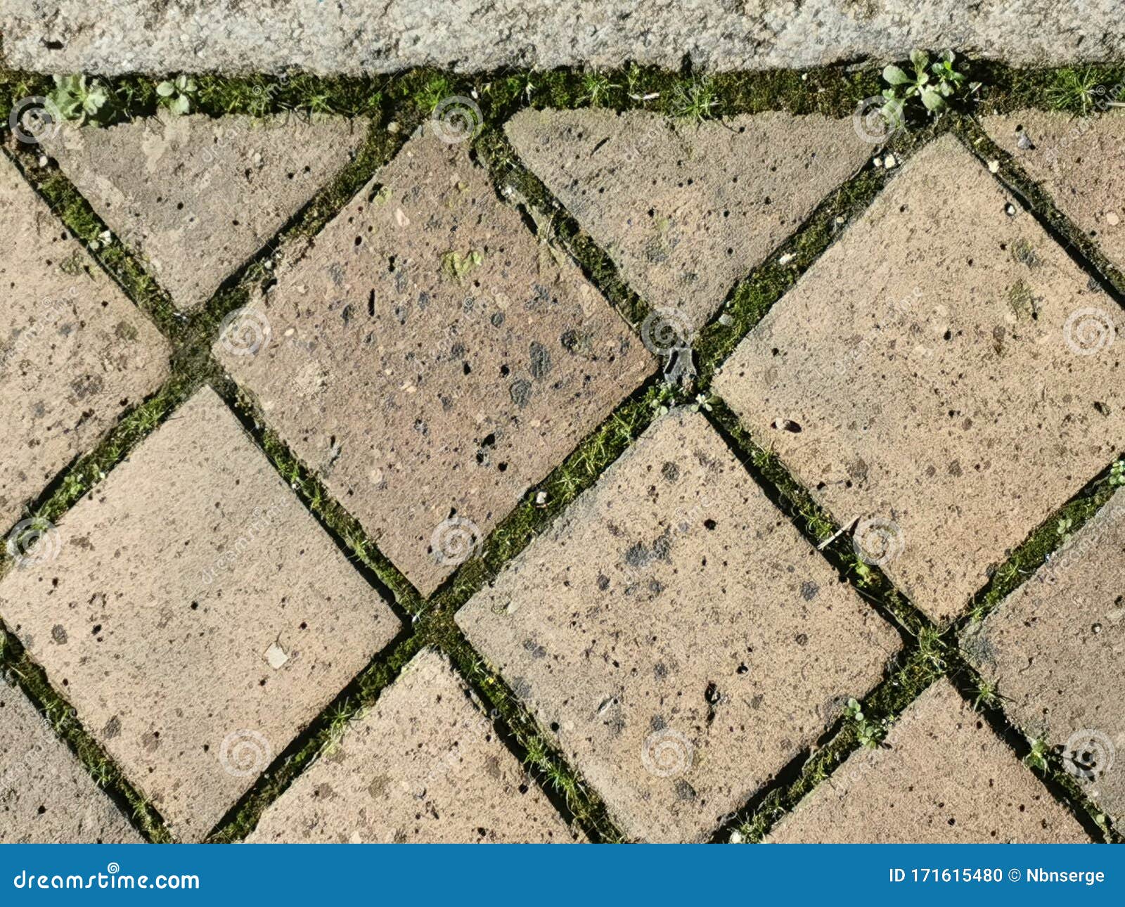 New Modern Square Pavement. Cobblestone Pavement Texture and Abstract ...