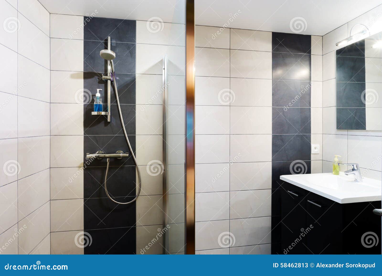 New Modern Wc with Douche in Apartment Stock Image - Image of elegance ...