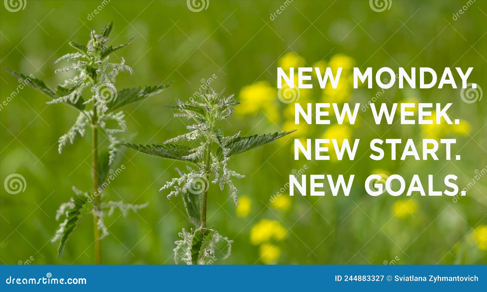 New Monday. New Week. New Start Stock Image - Image of message, concept ...