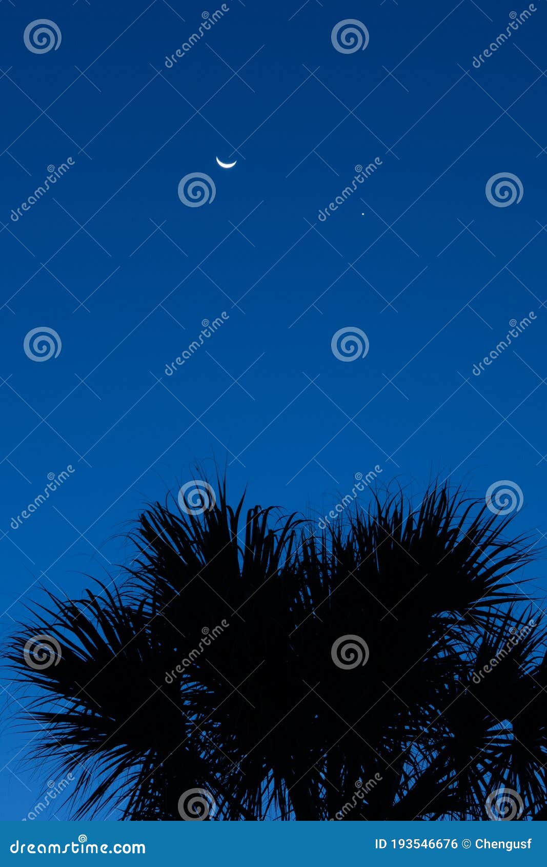 New Moon in the morning stock photo. Image of morning - 193546676