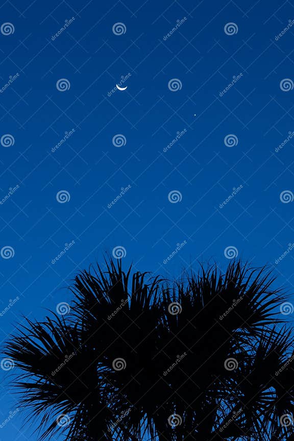 New Moon in the morning stock photo. Image of morning - 193546676