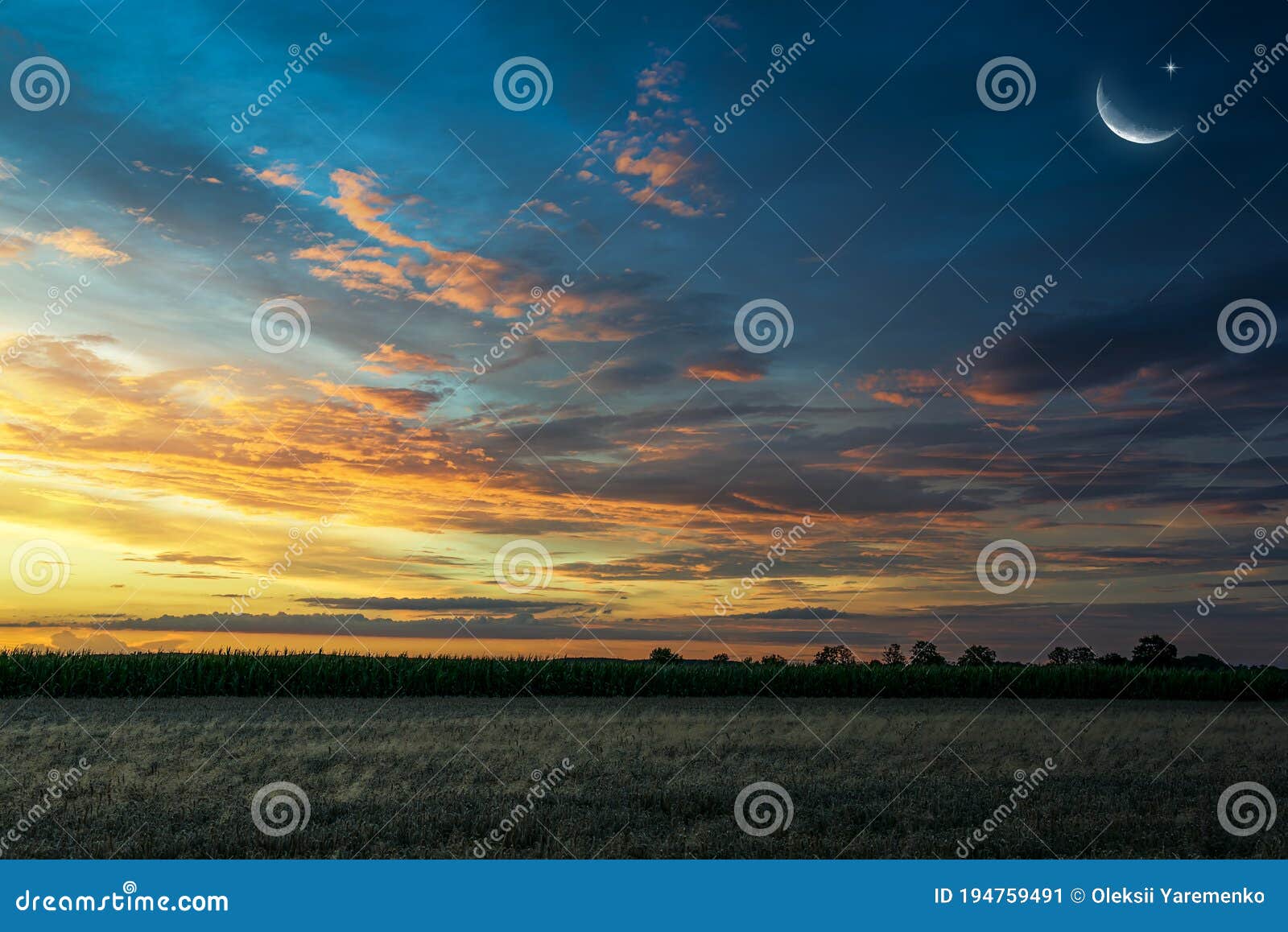 New moon into the sky stock image. Image of atmosphere - 194759491