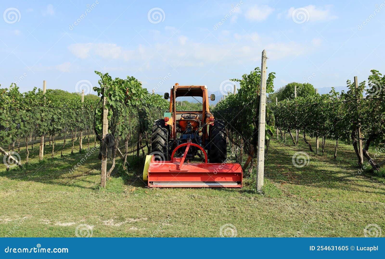New Mowing Grass Machine Towed by an Old Tractor at the Beginning of of ...