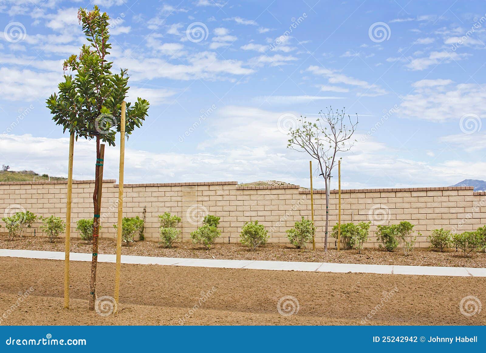 New Neighborhood Trees stock photo. Image of district - 25242942