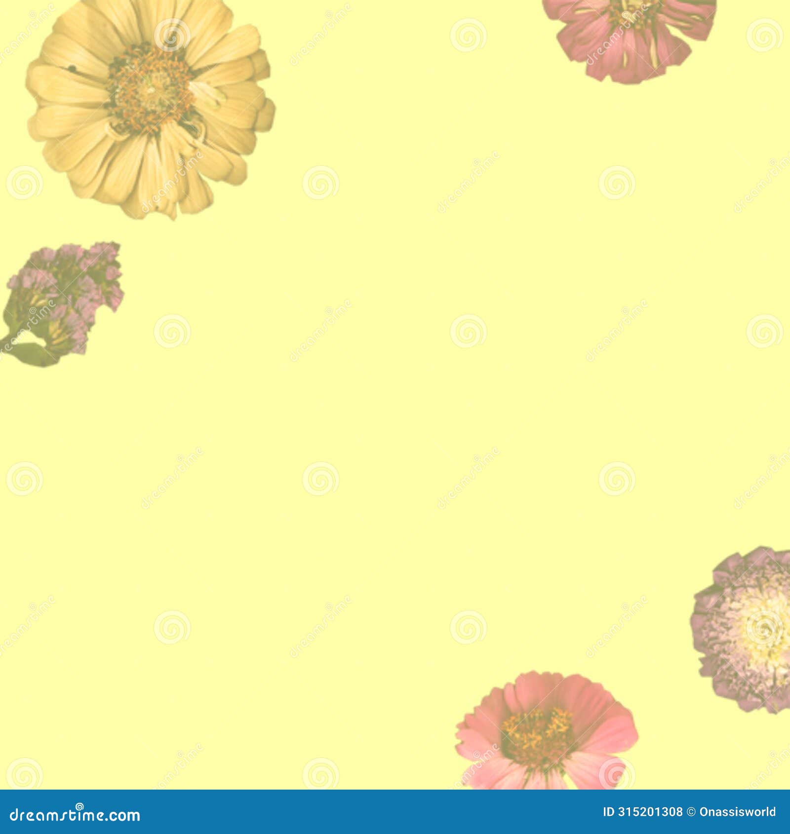 New. Notes stock photo. Image of paper, newnotes, design - 315201308