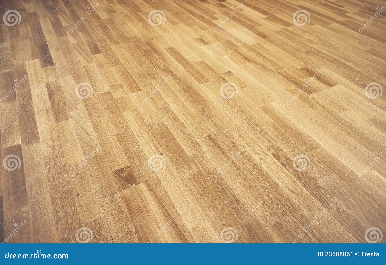 New oak parquet stock image. Image of empty, lines, timber - 23588061