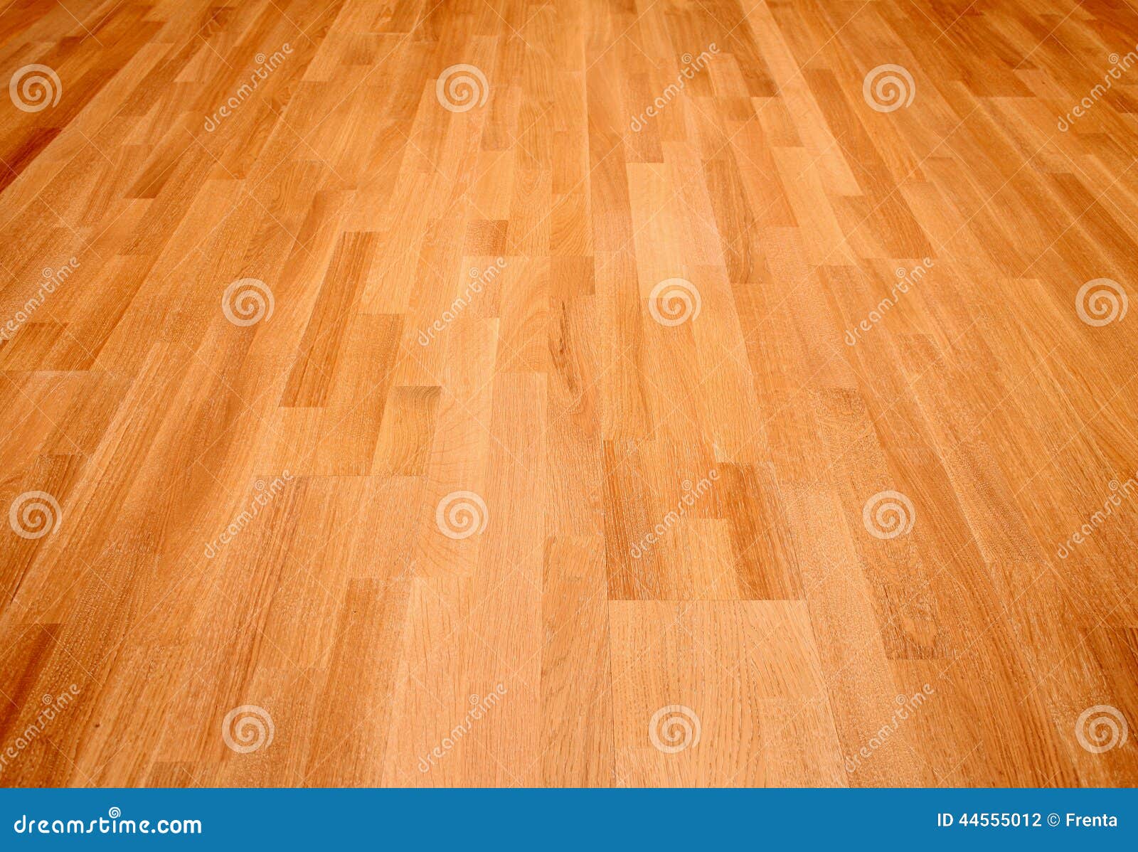 New oak parquet stock photo. Image of surface, flooring - 44555012