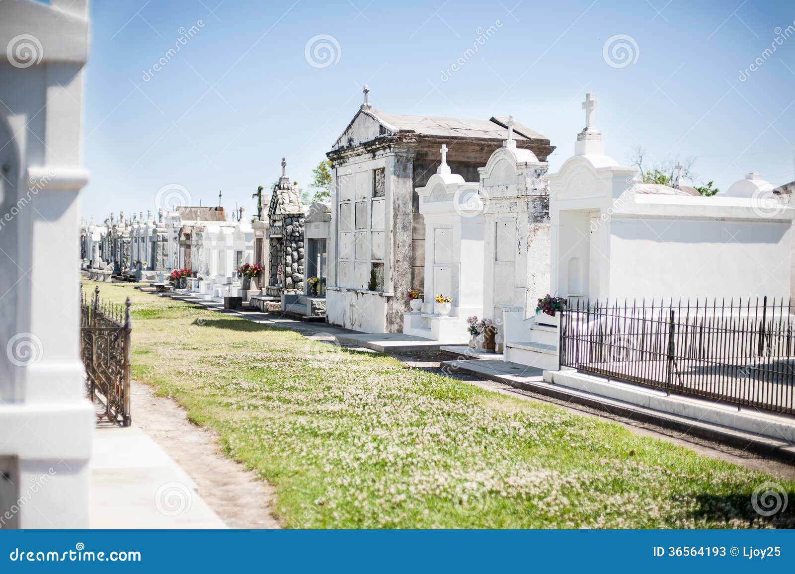 New Orleans cemetery stock image. Image of buildings - 36564193