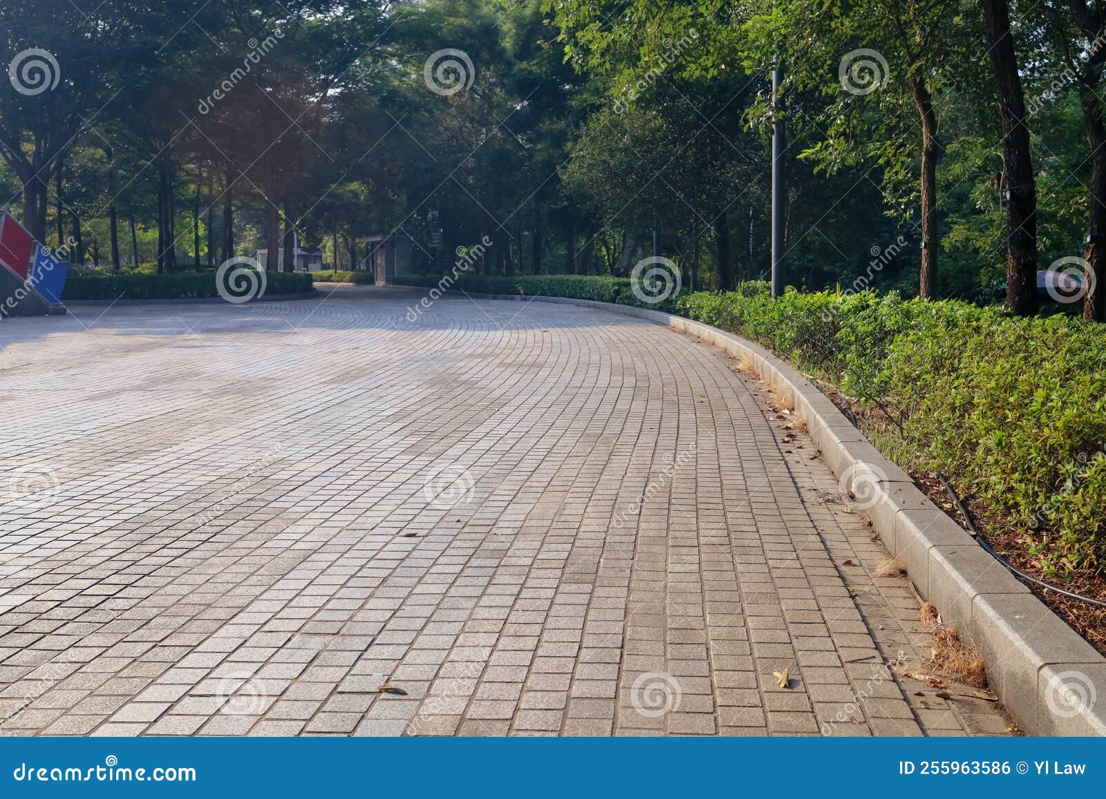 New Pathway and Beautiful Trees Track for Walking 13 Sept 2022 Stock ...