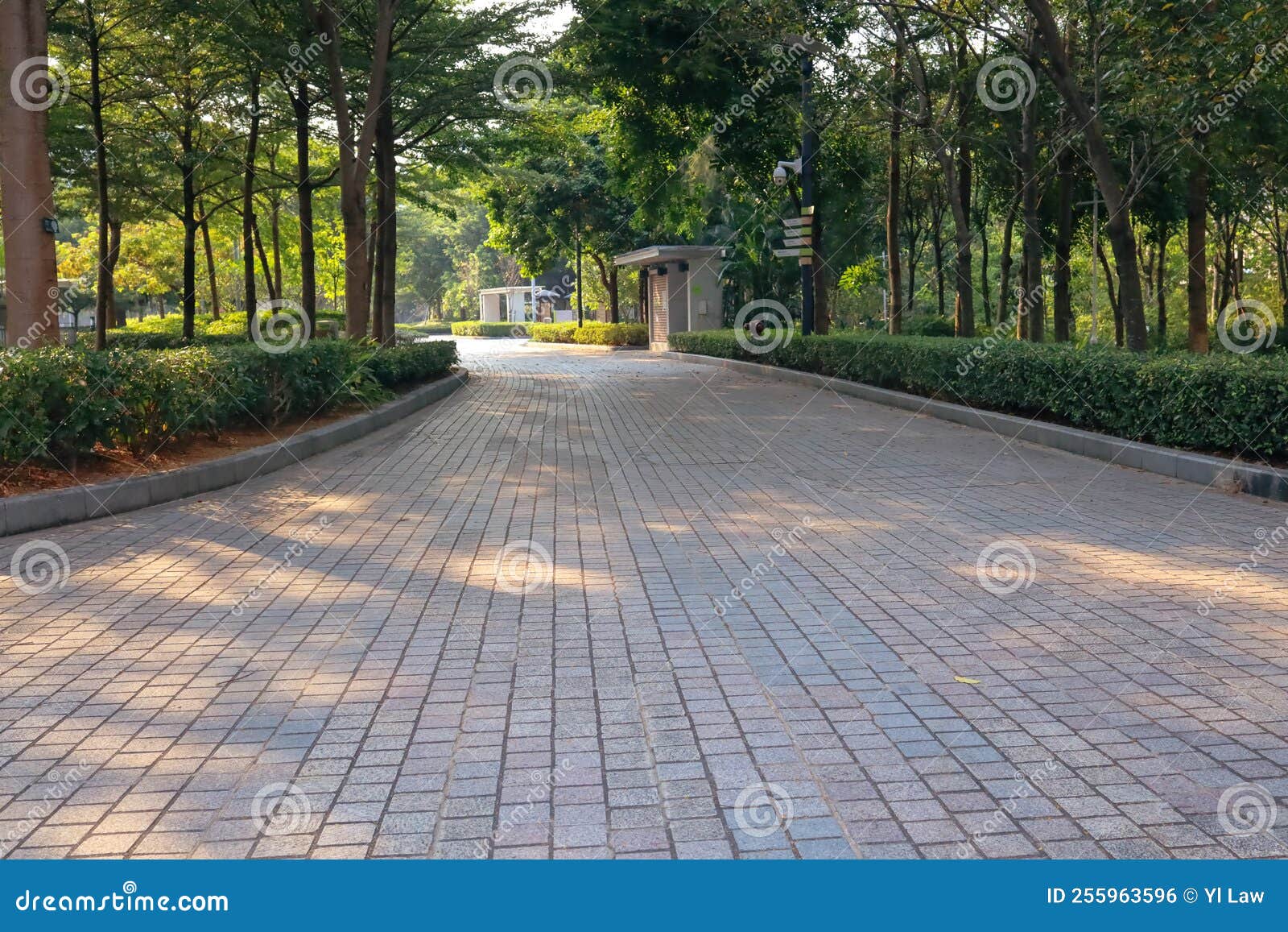 New Pathway and Beautiful Trees Track for Walking 13 Sept 2022 Stock ...