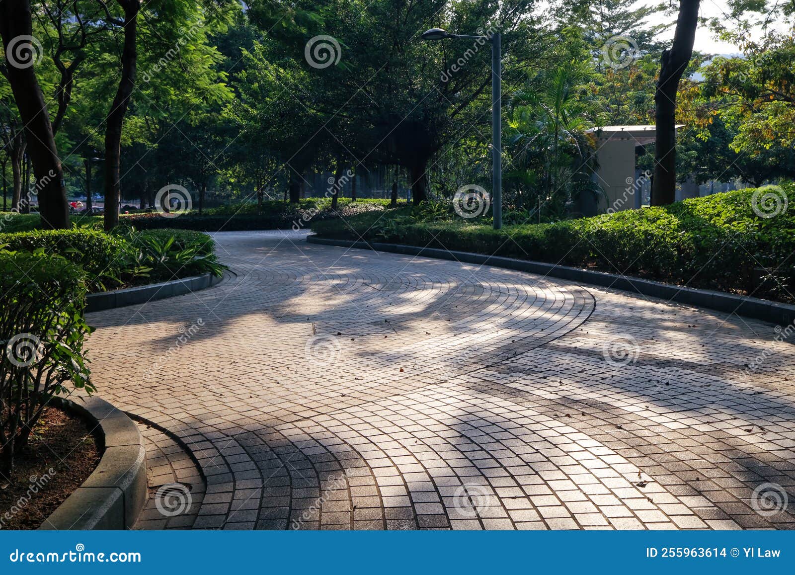 New Pathway and Beautiful Trees Track for Walking 13 Sept 2022 Stock ...