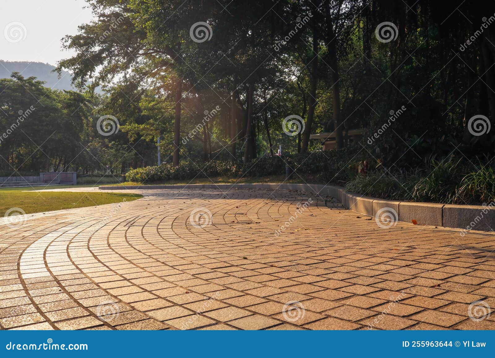 New Pathway and Beautiful Trees Track for Walking 13 Sept 2022 Stock ...