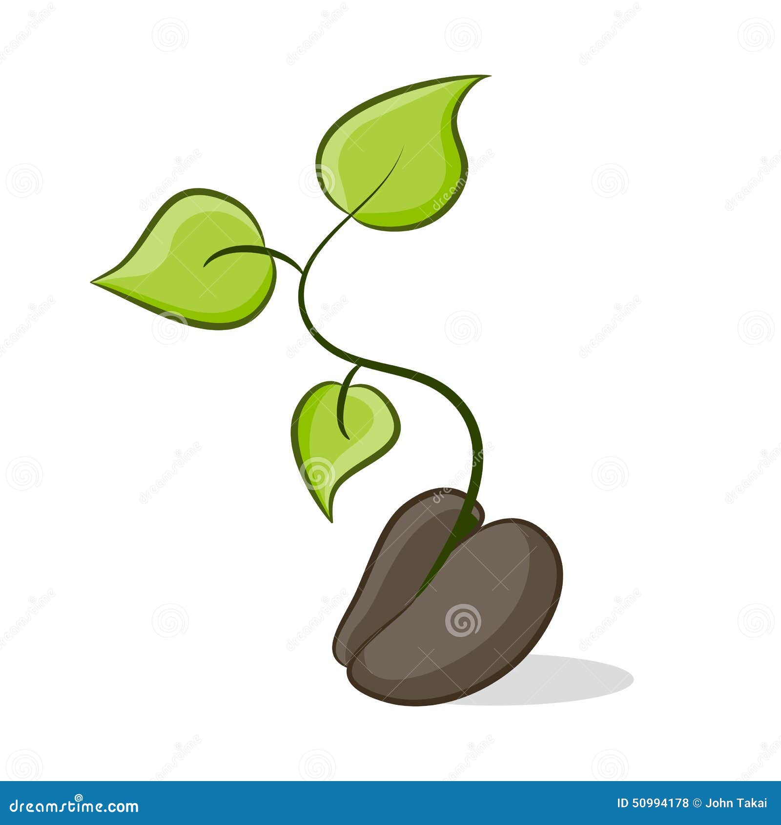A Plant With Budding Flower Vector Illustration | CartoonDealer.com ...