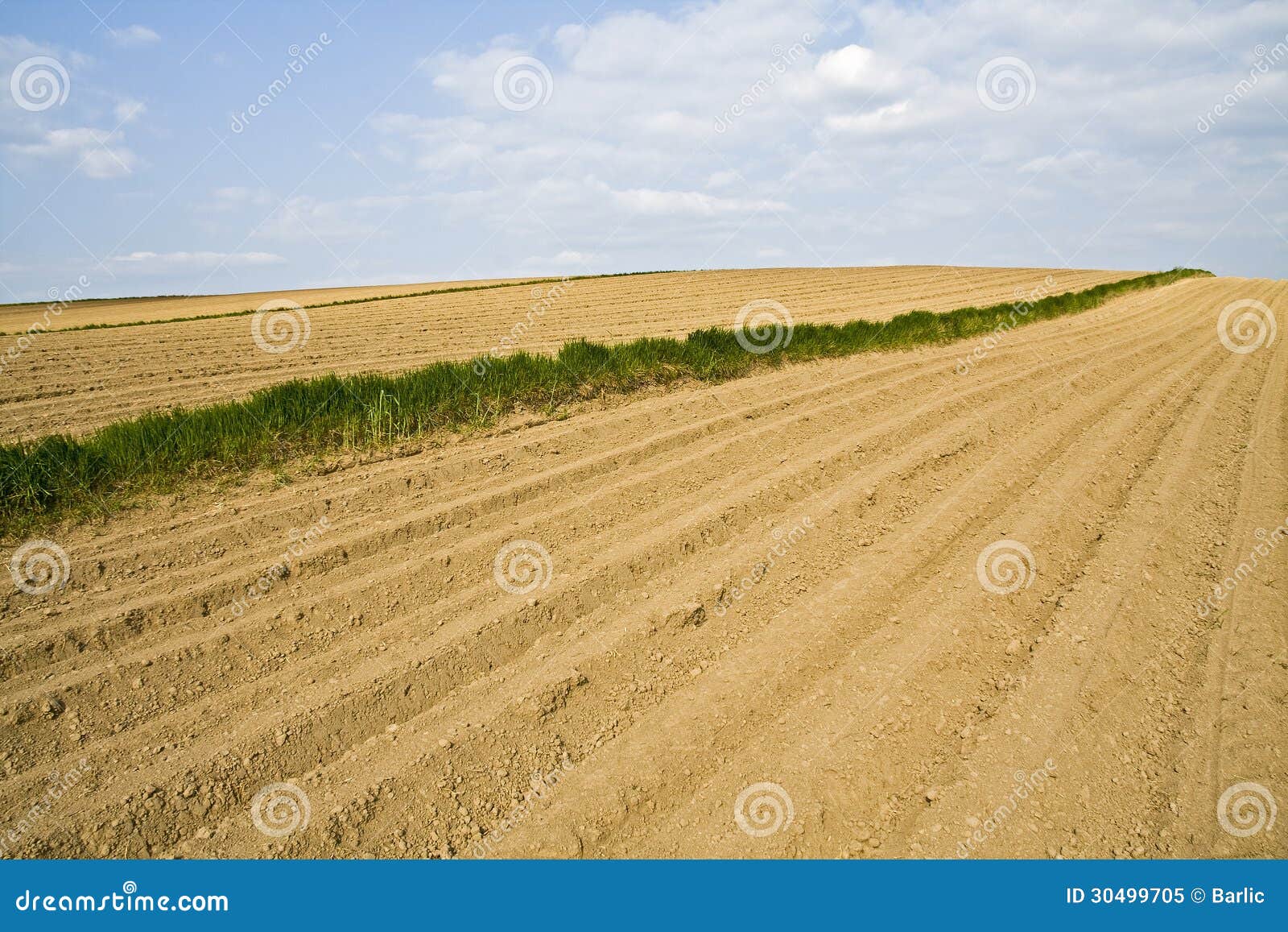 New Planted Field in Spring Stock Image - Image of planted, green: 30499705