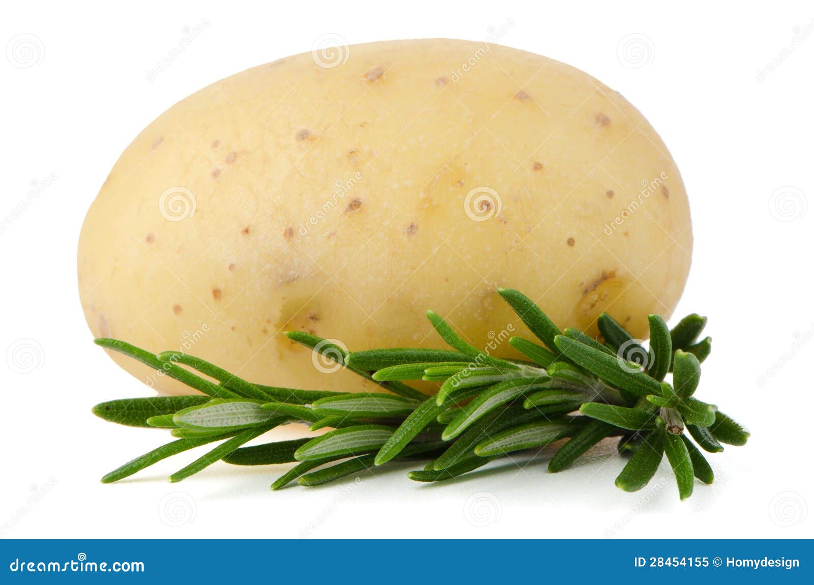 New potato stock image. Image of potato, harvest, brown - 28454155