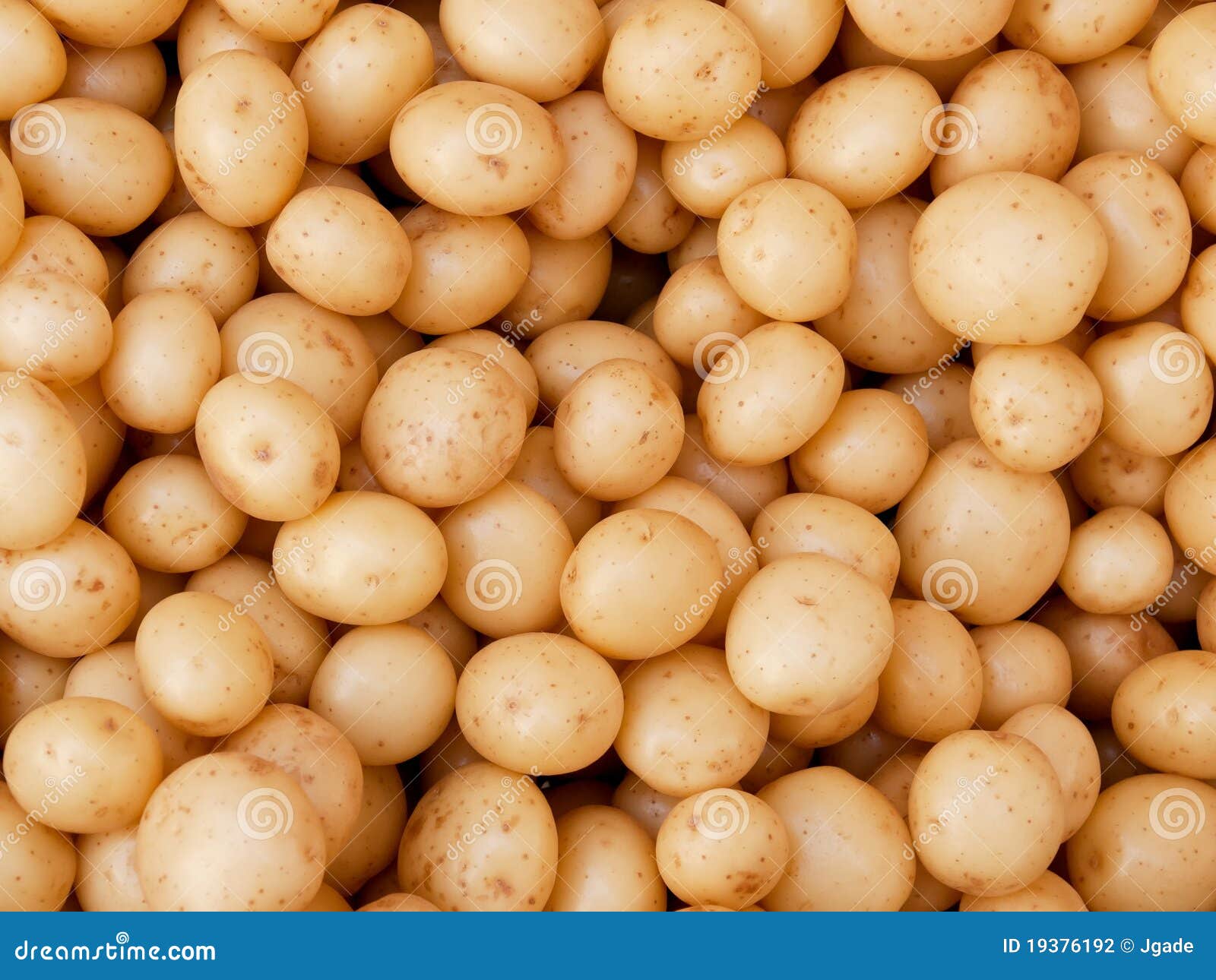 New Potatoes stock photo. Image of peel, organic, energy - 19376192