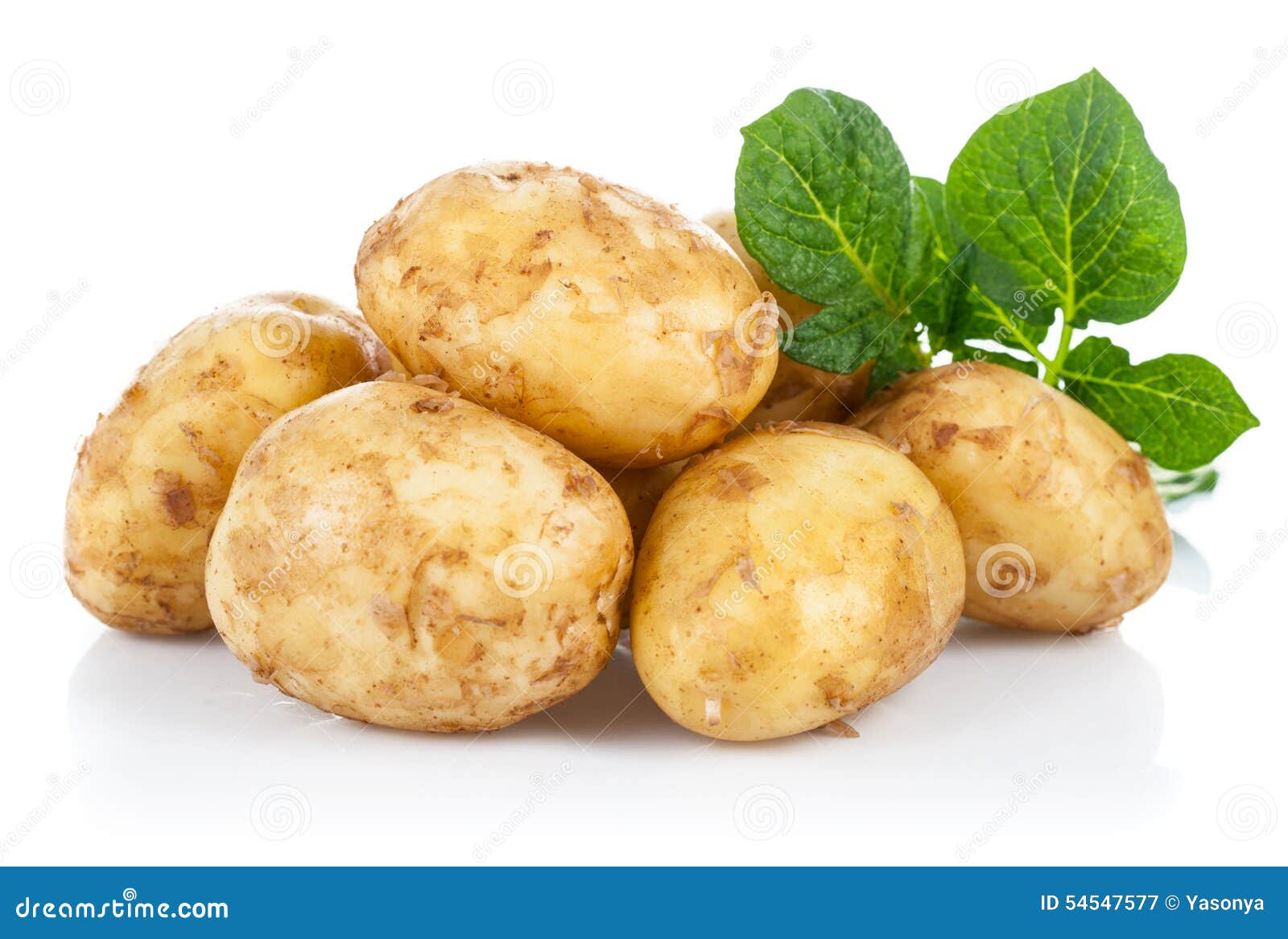New Potatoes with Green Leaves Stock Image - Image of ration, object ...