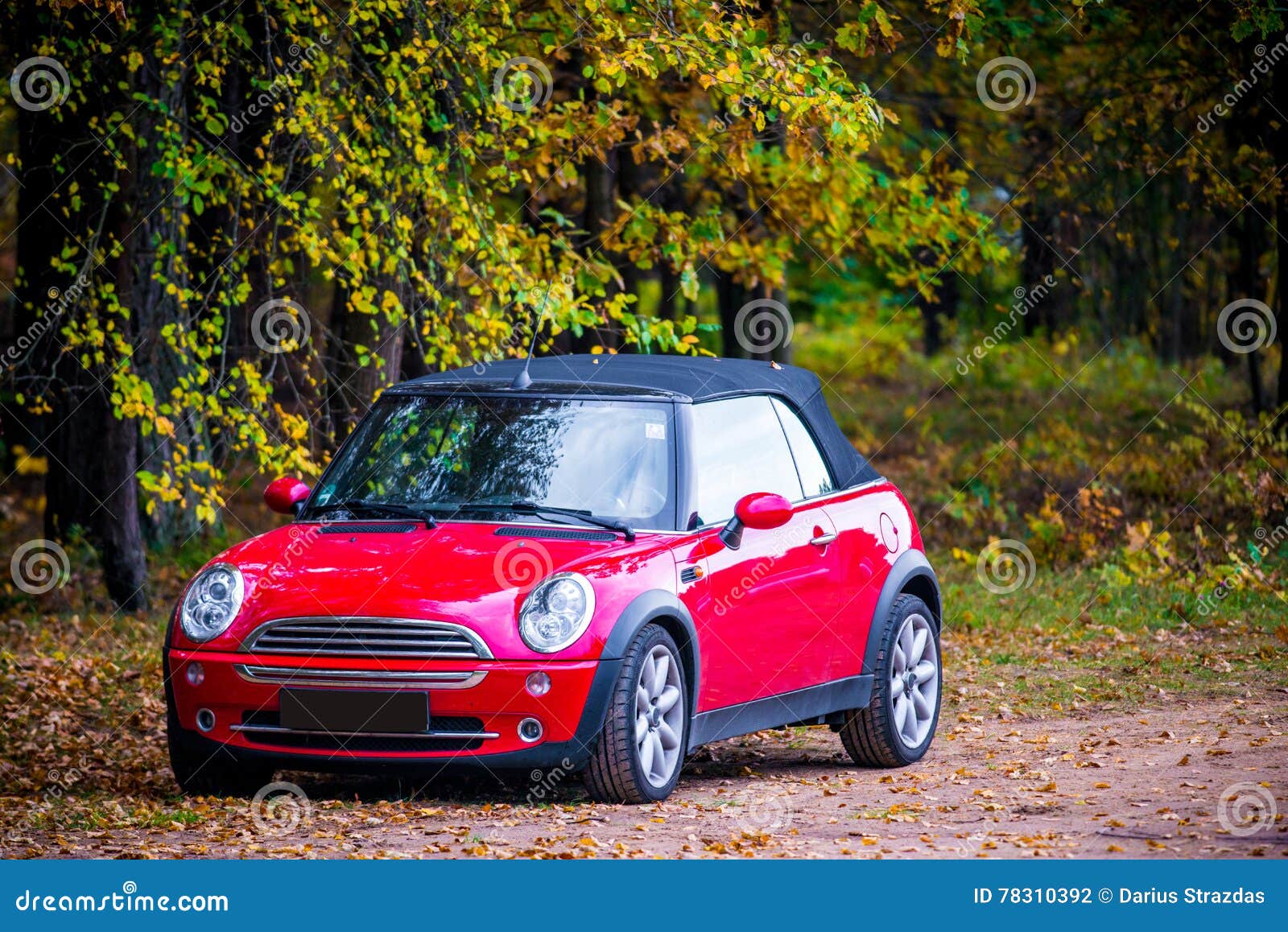 New Red Car Mini Cooper in Nature Stock Photo - Image of fall, light ...