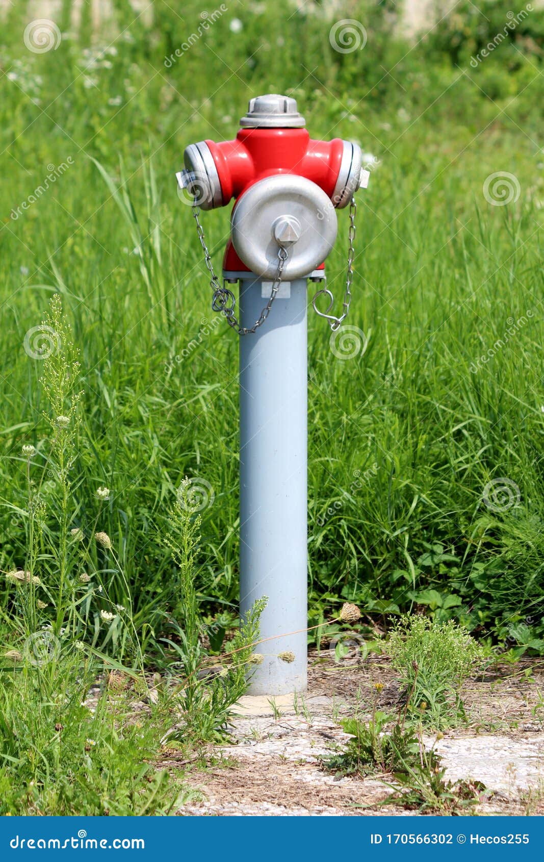 New Red and Grey Metal Fire Hydrant with Four Caps Connected with Short ...