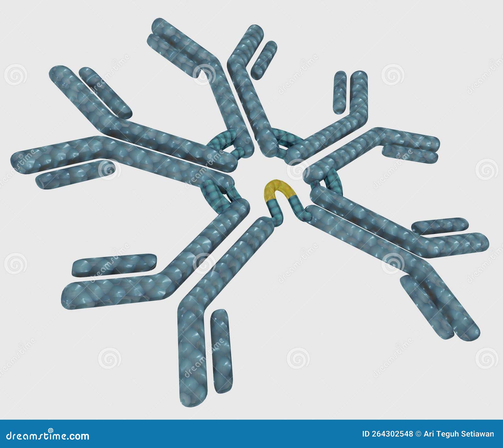 The New Redefined Structure of Antibody IgM Stock Illustration ...