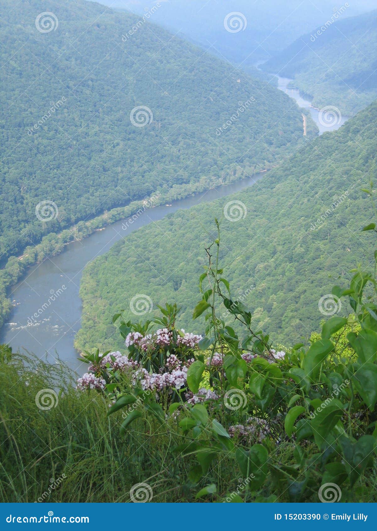The New River Gorge stock photo. Image of west, valley - 15203390