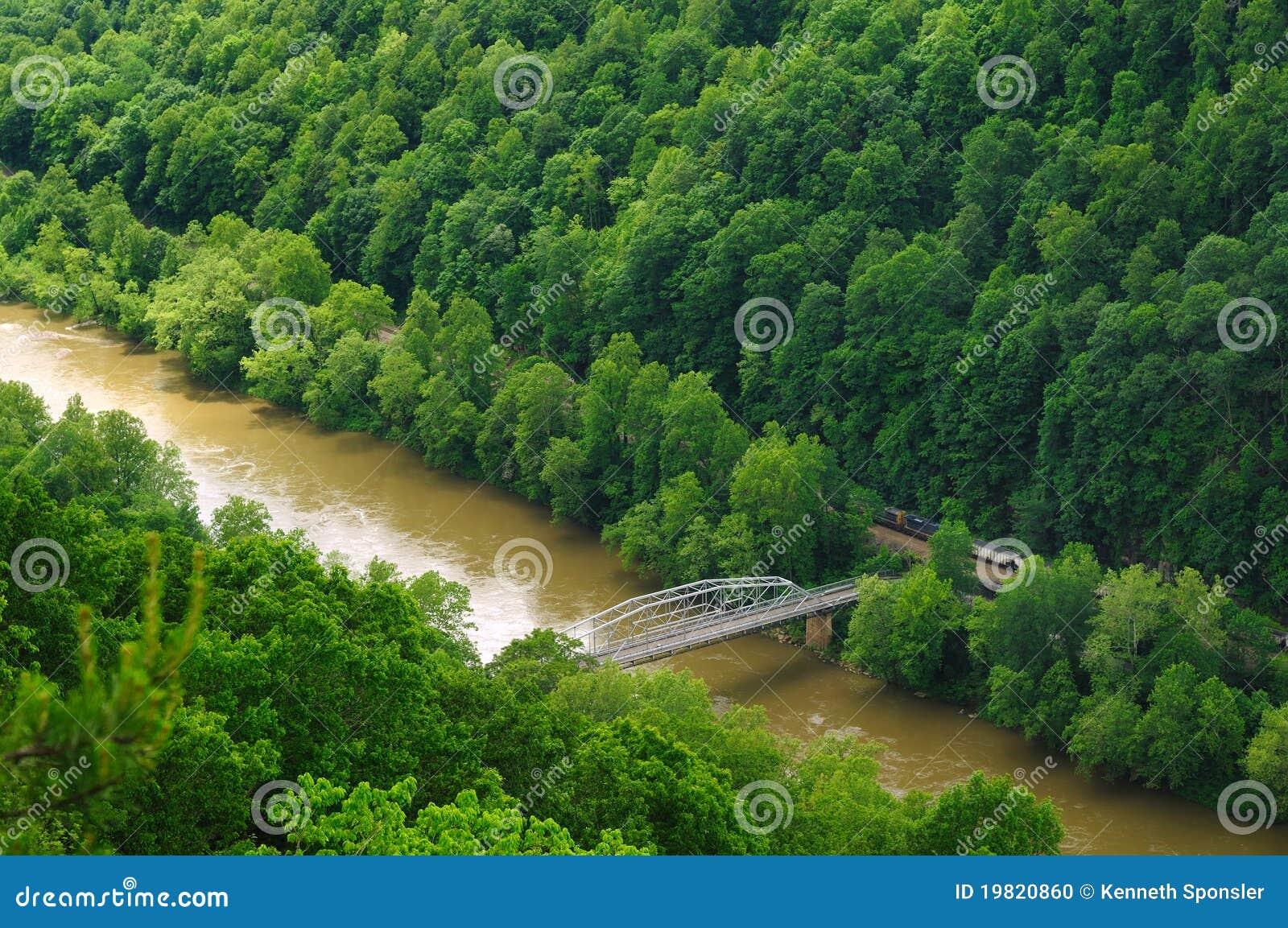 New River Gorge train stock photo. Image of tree, freight - 19820860