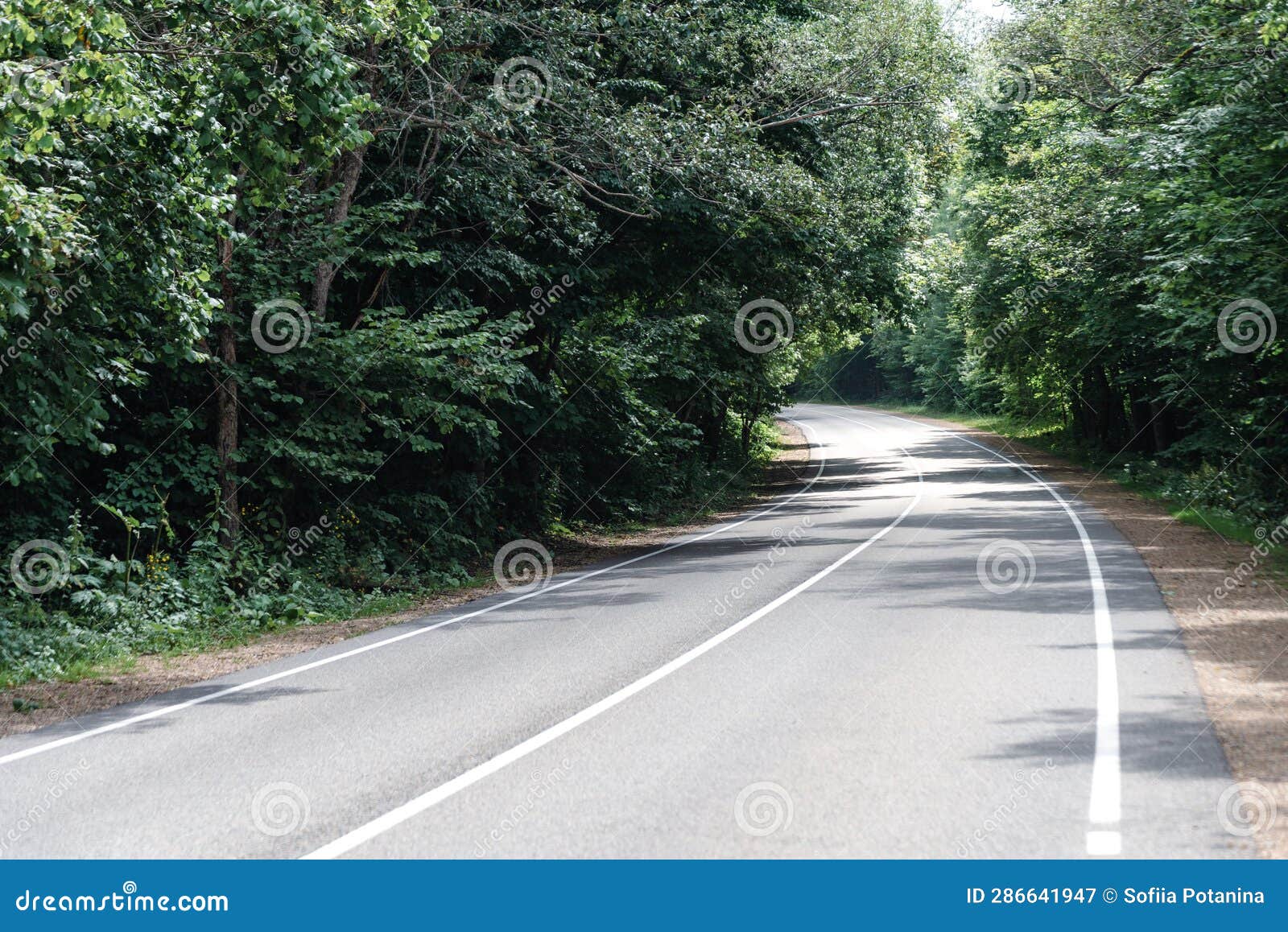 New Road in the Forest without Cars Stock Image - Image of landscape ...