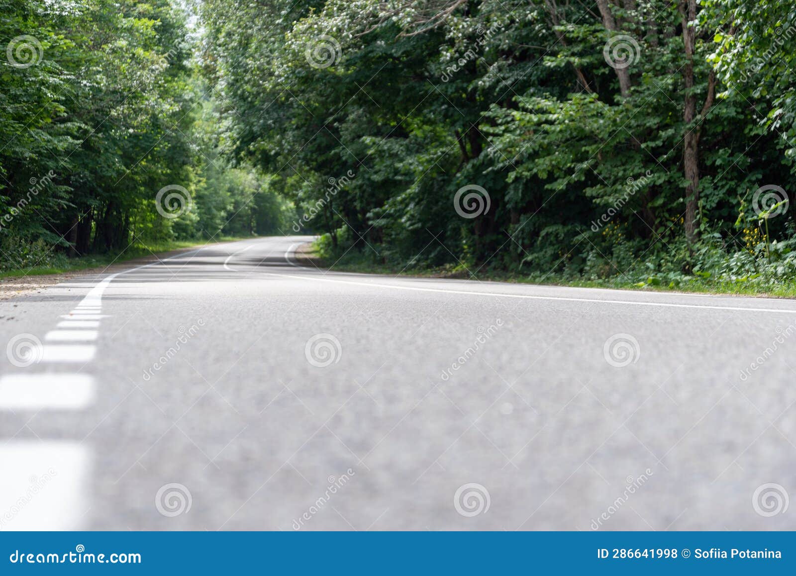 New Road in the Forest without Cars Stock Photo - Image of highway ...