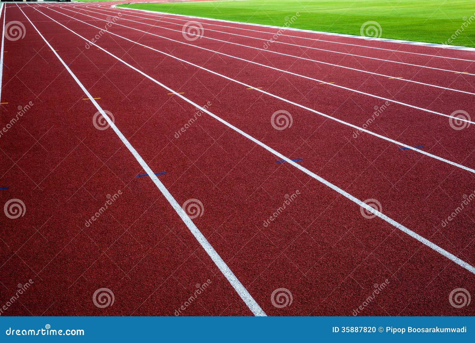 New Running Track with Green Grass, Abstract, Texture, Background ...