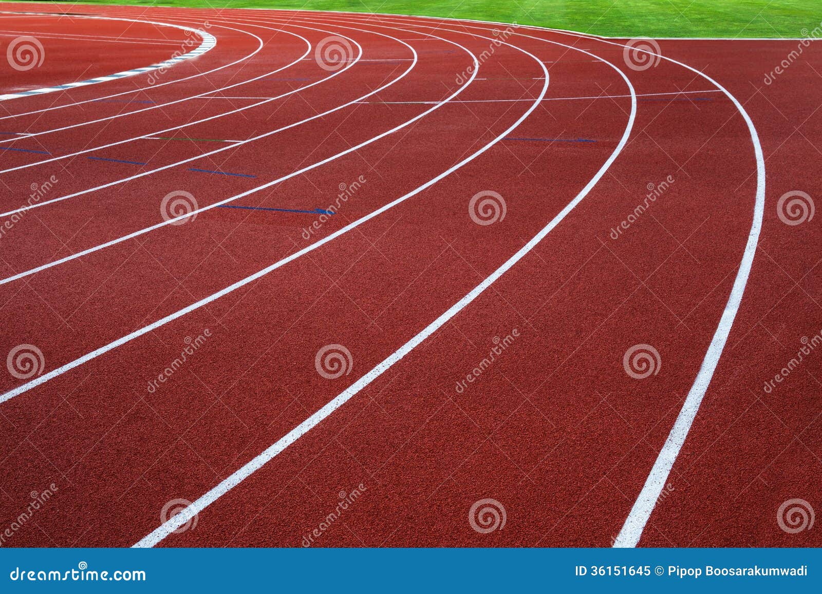 Running Race Track Texture