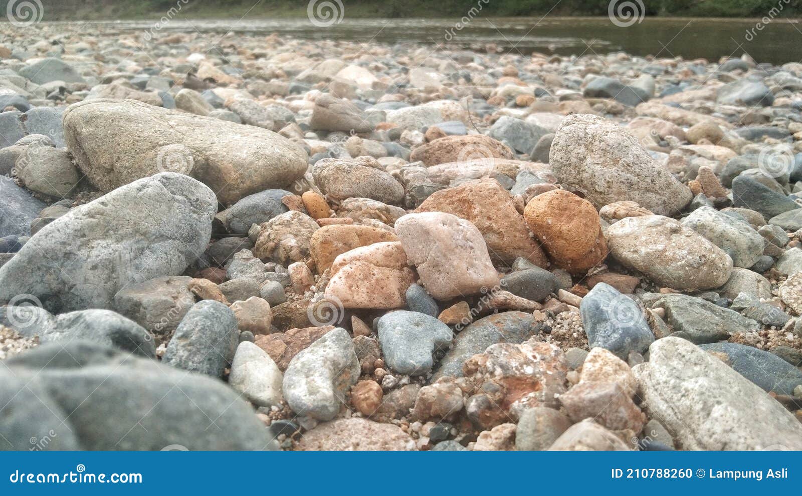 New Scenery of Pebbles by the River Stock Photo - Image of bedrock ...