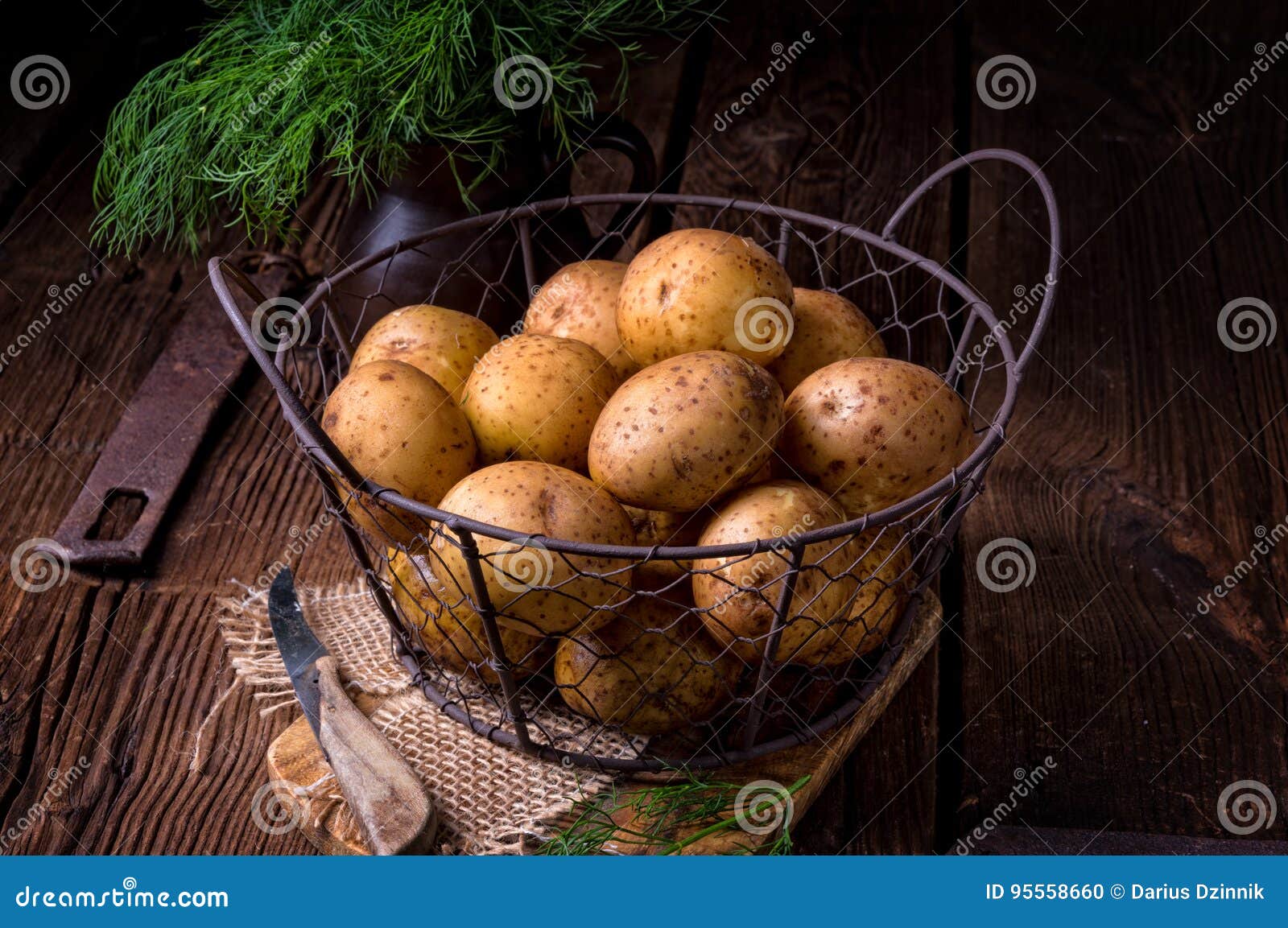 New small potatoes stock photo. Image of cooked, natural - 95558660