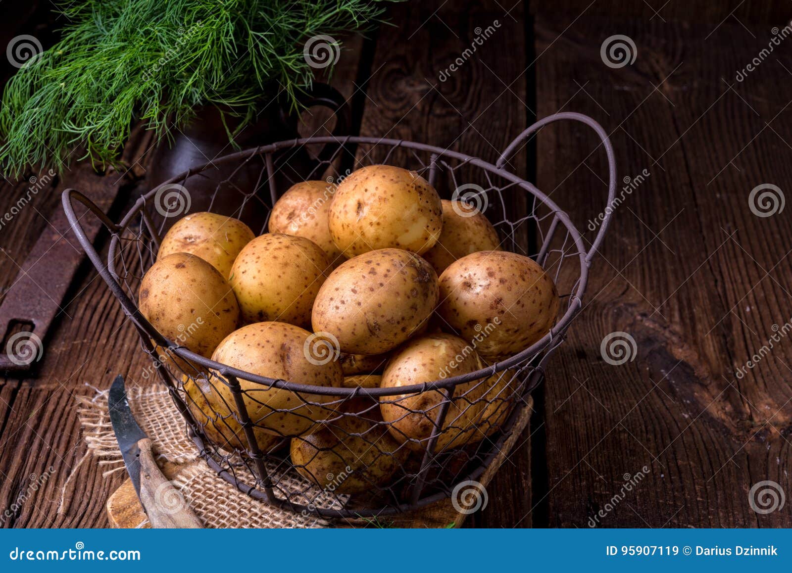 New small potatoes stock image. Image of dark, organic - 95907119