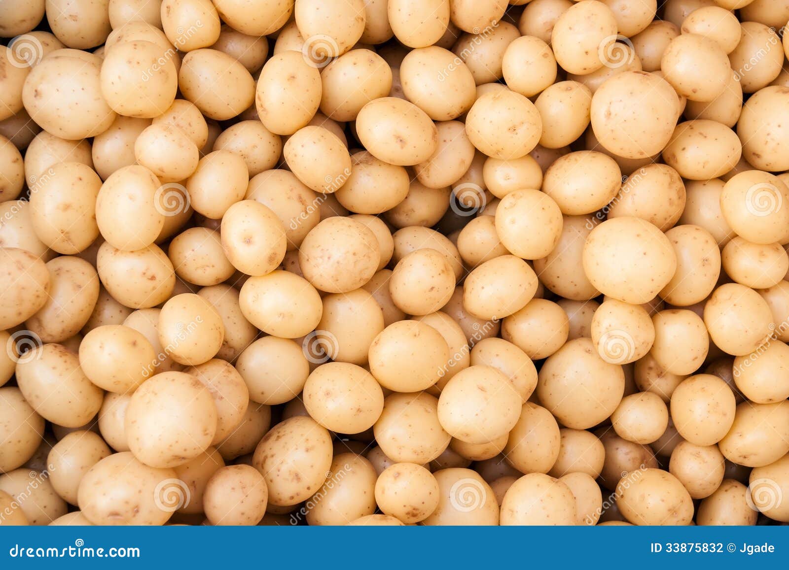 New small potatoes stock photo. Image of small, full - 33875832