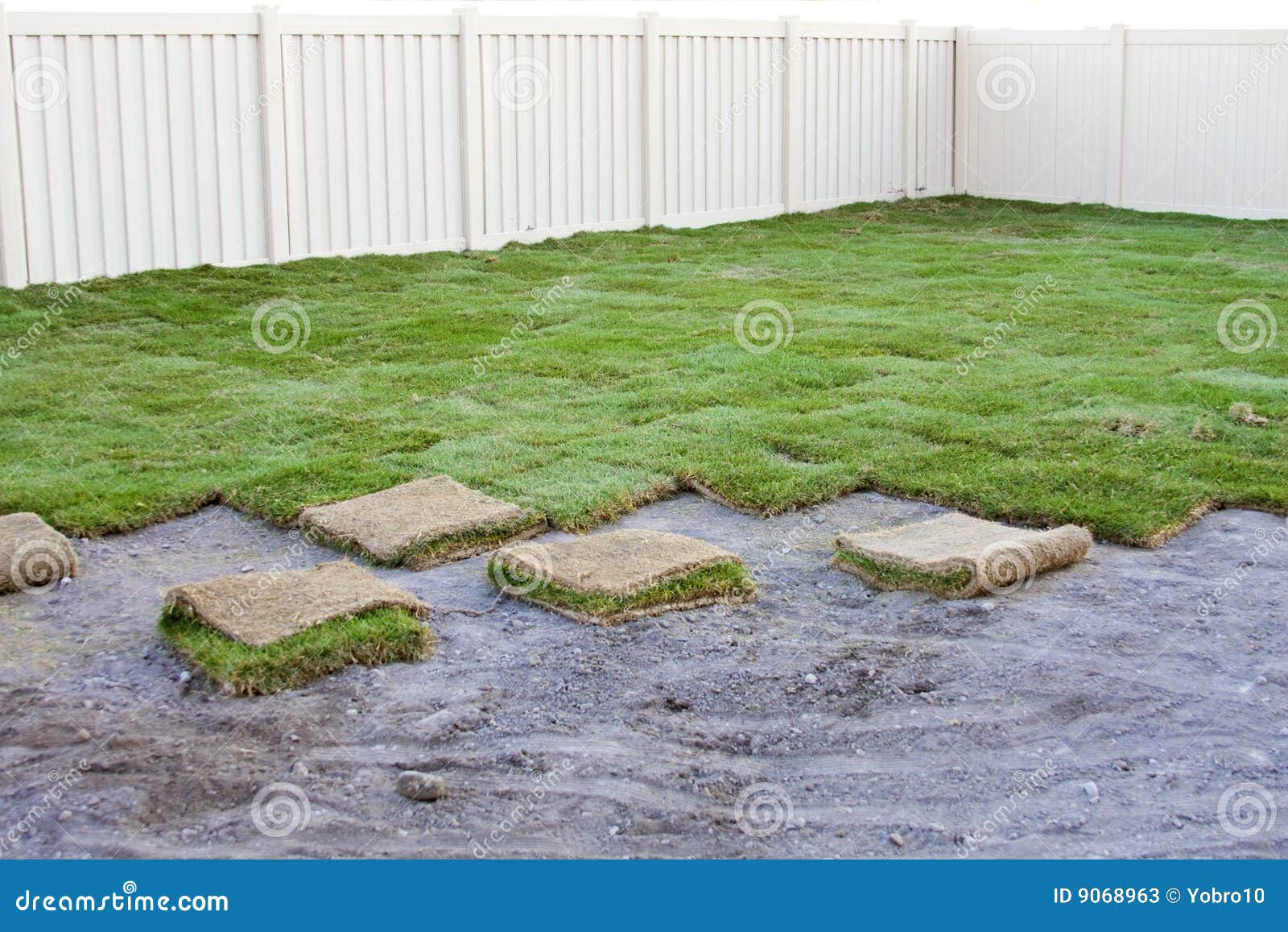 New Sod Grass stock image. Image of backyard, seed, patch - 9068963