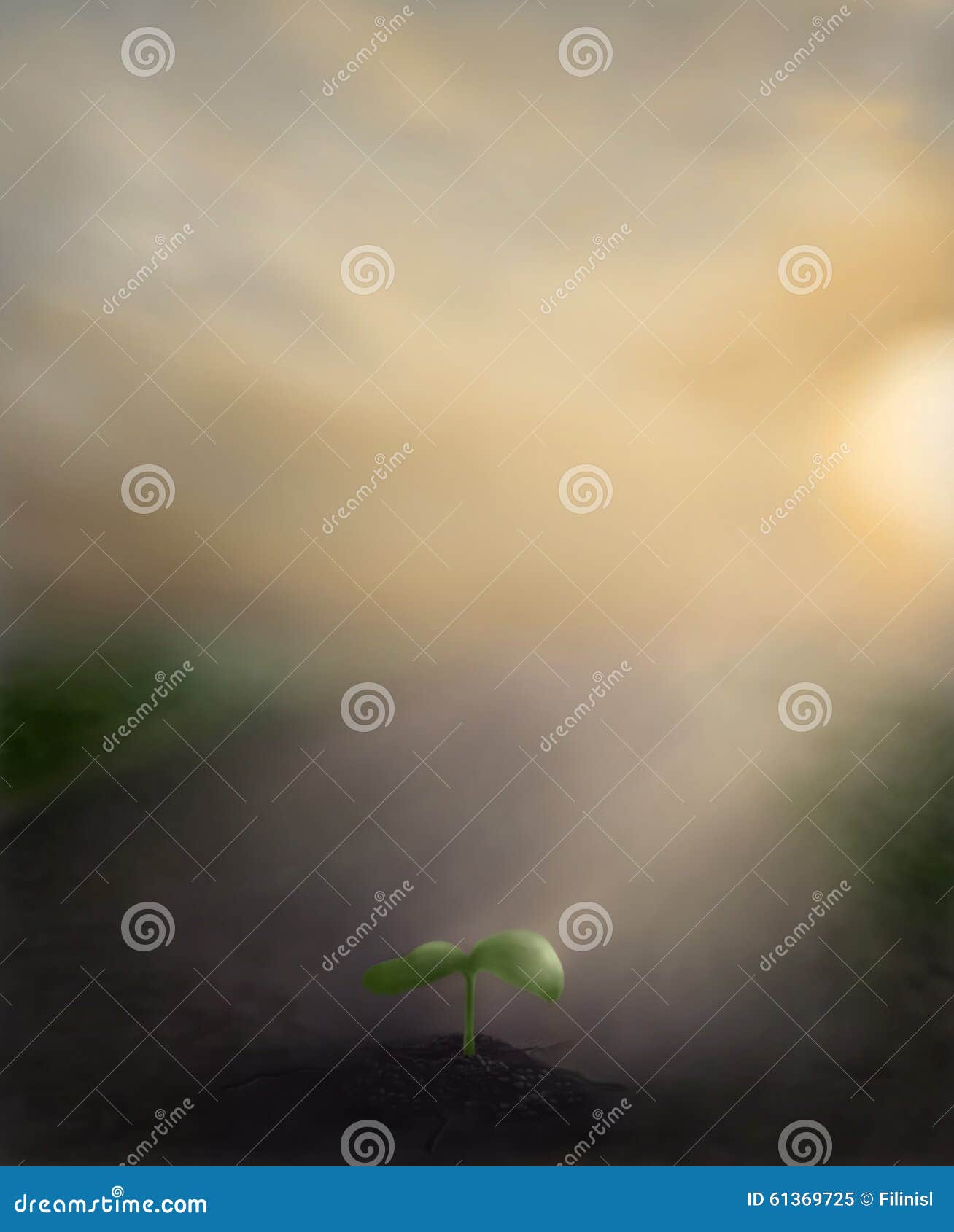 New sprout stock image. Image of environmental, growing - 61369725