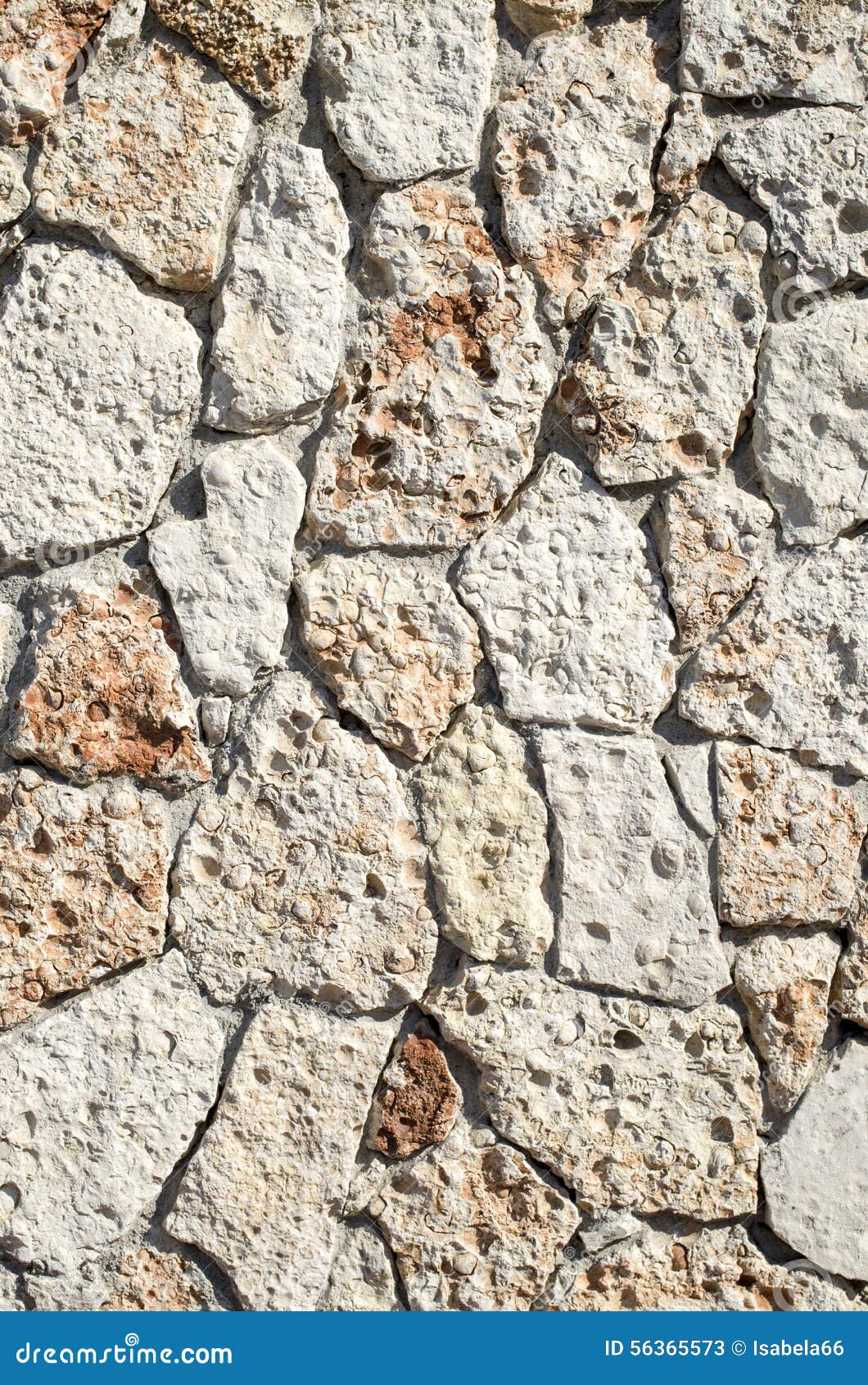 New Stone Cladding Plates on Wall Stock Image - Image of fossil ...